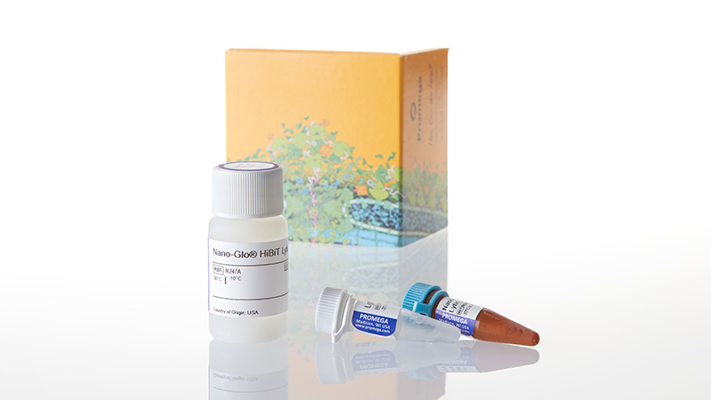 Nano-Glo® HiBiT Lytic Detection System | Protein Quantitation | Promega