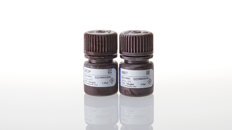 BCIP/NBT Color Development Substrate (5-bromo-4-chloro-3-indolyl ...
